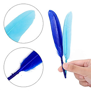Coceca 240pcs Colorful Goose Feathers 4-6 Inches Natural Feathers for DIY Crafts