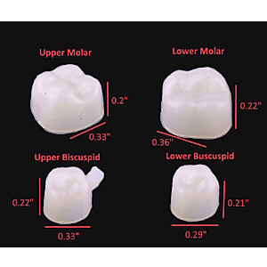 Temporary Tooth Crown Fake Teeth Repair Material Front & Molar Posterior offering Help in Fixing Missing Broken Tooth (2 boxes around 100 pcs)