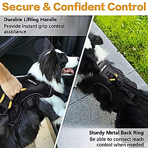 rabbitgoo Escape Proof Dog Harness, Soft Padded Full Body Pet Harness, Reflective Adjustable No Pull Vest with Lift Handle and Leash Clip for Large Dogs Walking Hiking Training, L, Black