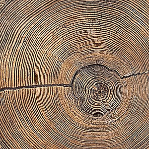 SUNBURY Outdoor Accent Table, 11" Hourglass Shaped Outdoor Side Table for Patio, Concrete Garden Stool End Table, Morden Outdoor Concrete Side Table Wooden-Look Top for Bedroom, Garden, Backyard