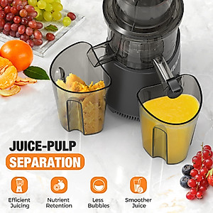 Cold Press Slow Masticating Juicer: Powerful Cold Pressed Juicer Machines Easy To Clean For Vegetable and Fruit, Grey