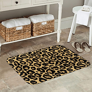 Jbofyee Brown Leopard Texture Area Rug Non-Slip Soft Microfiber Washable Inside Floor Mats Throw Rugs Carpet for Living Room Bedroom Office Dorm Home Decor, 36x24 Mat