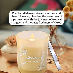 Peach Mango Citrus Scented Candles with Mandarin & Passion Fruit | Large Aromatherapy Candle | Highly Scented Soy Wood Wick Candles for Home | Natural Stress Relief Candles for Men & Women 10.6 oz