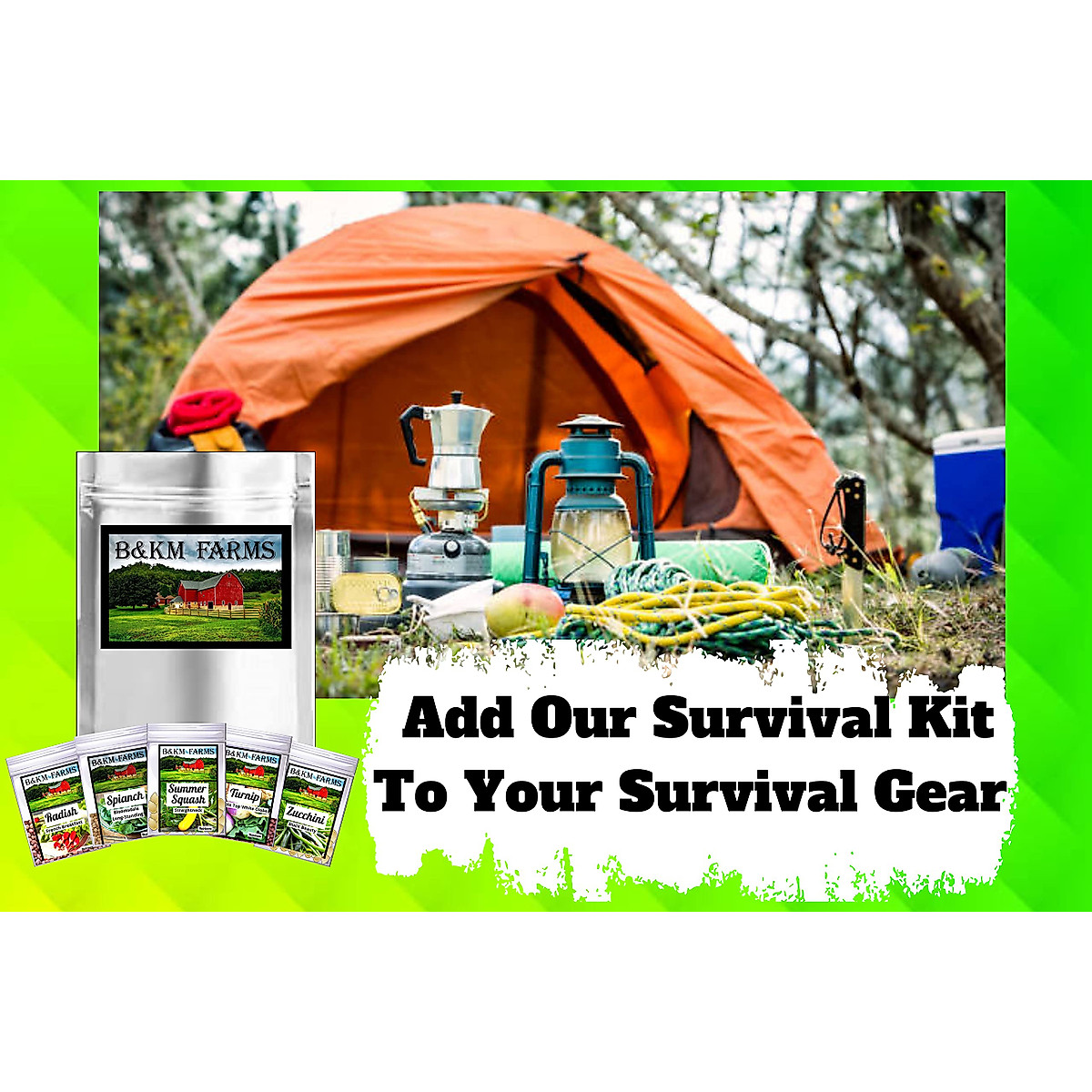 30 Vegetable & Fruit Seeds for Planting Your Outdoor & Indoor Home Seed Garden, Survival Gear Kit Includes 7600 Seeds, A Growing Guide & Mylar Package Gardening Heirloom Non-GMO Veggie Seed B&KM Farms