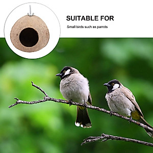 balacoo Parrot Toys Parrot Toys Bird Toy Shell Bird House Natural Hanging Bird House Bird Hut Bird Bed House Toy Cage Toy for Hamster Parrot Macaw with Screw Parrot Toys Bird Toy Bird Toy