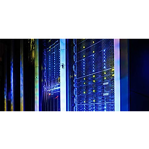 Western Digital WD Gold 16 To (WD161KRYZ)