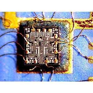AmScope SM-6TZ-FRL-5M Digital Professional Trinocular Stereo Zoom Microscope, WH10x Eyepieces, 3.5X-90X Magnification, 0.7X-4.5X Zoom Objective, 8W Fluorescent Ring Light, Clamping Articulating Arm Stand, 110V-120V, Includes 0.5X and 2.0X Barlow Lenses an