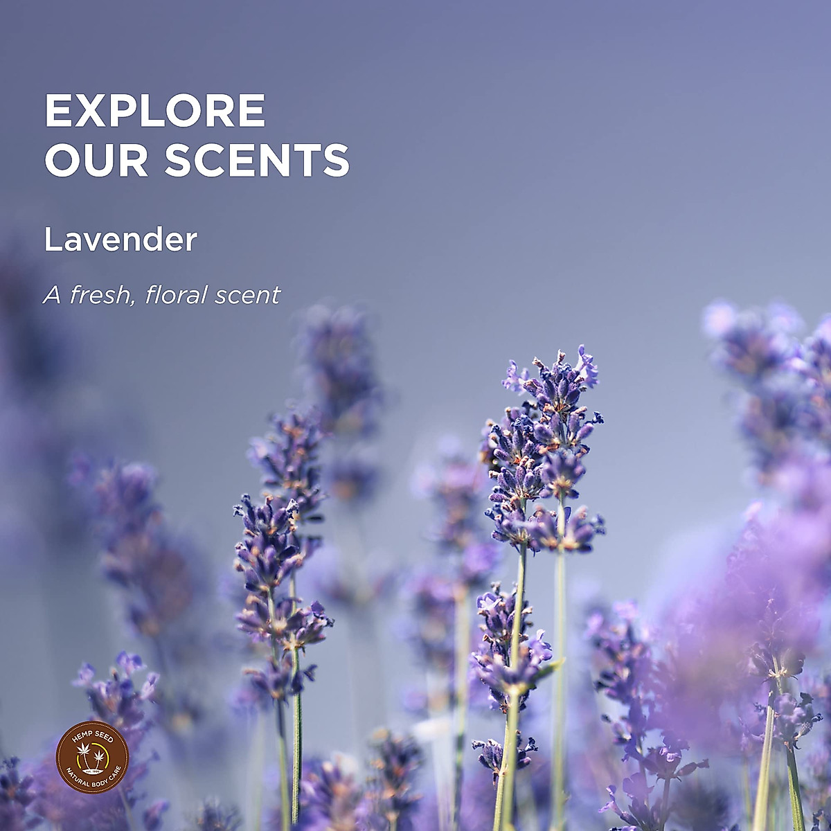 Earthly Body Body Mist, Lavender, 8 Ounce