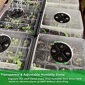 Seed Starter Tray Kit, 20 Packs Seed Starting Trays with Seedling Tray and Humidity Dome, 240 Cells Plant Starter Trays Germination Growing Propagation Trays for Indoor Seed Starter - Dark Green