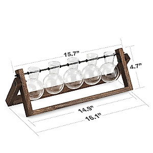 Mkono Plant Terrarium with Wooden Stand, Wall Hanging Glass Planter Desktop Glass Bulb Vase Retro Wooden Holder for Propagating Hydroponics Plants Pothos Home Office Garden Decor