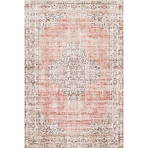 Alwoligag Washable Vintage Rug 2x3 Entrance Rug Non-Slip Indoor Doormat, Bedroom Kitchen Entrance Bathroom Boho Small Rugs (Pink Rug)