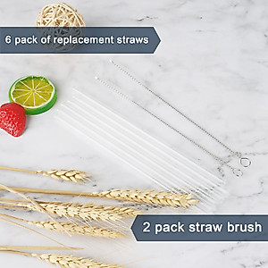 Plastic Straws for Stanley Iceflow 30oz Tumbler,6 Pack Replacement Clear Straws with 2 PCS Straw Cleaner Brush, Reusable Straw for Stanley 30 oz Iceflow Flip Cup (Clear, for Stanley Iceflow 30oz)
