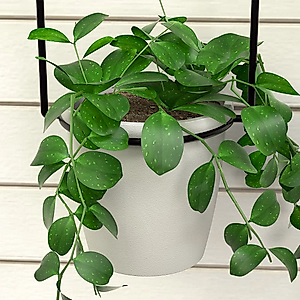 Kcysta Hanging Planters for Indoor Plants, Pull Out Cabinet Organizer, 11.8" -18.1" Width Expandable Cabinet Drawers for Pot and Pan, Kitchen Slide Out Storage Rack, Black