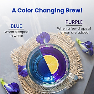 BLUE TEA - Butterfly Pea Flower Herbal Tea (1.76 Oz) | DETOX TEA | Iced Teas, Coolers, Cocktails | Caffeine Free - Gluten Free - Non-GMO | Pet Jar Pack
