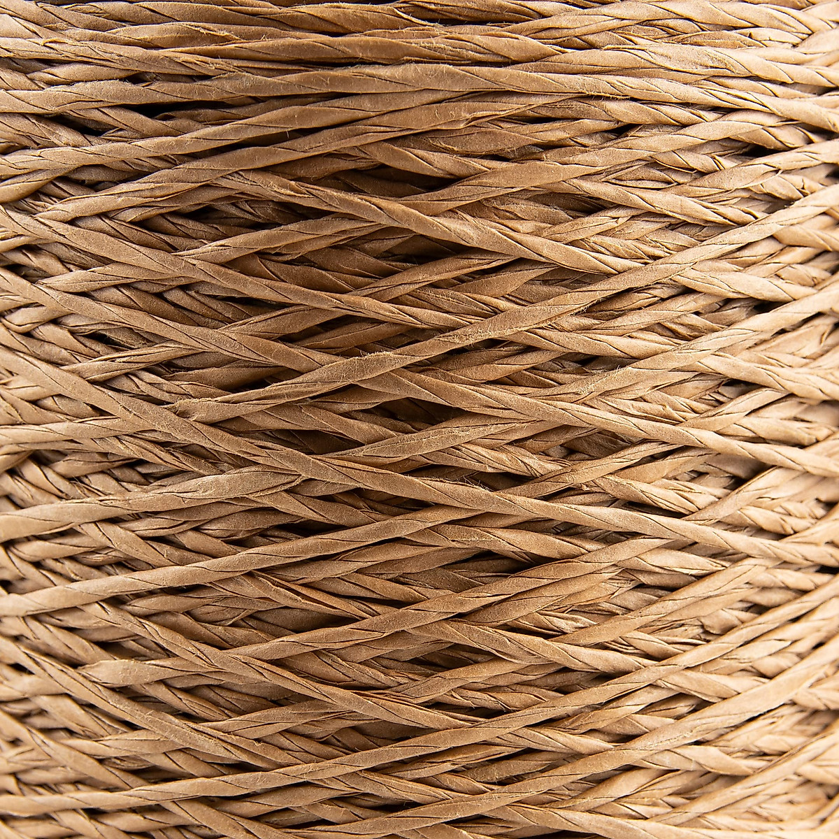 Sensy Premium 274 Yards Raffia Yarn (Latte)