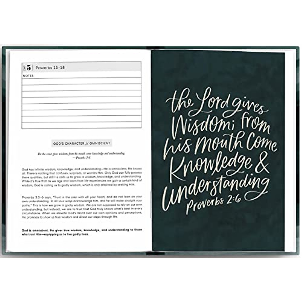 The Bible in a Year: A Guided Bible Study Reading Plan to Read the Bible in 52 Weeks (Premium Hardcover Keepsake Edition)