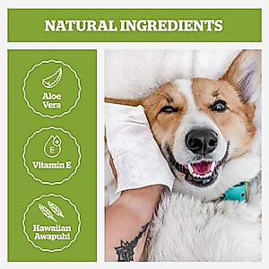 Pogi's Dog Grooming Wipes - 100 Dog Wipes for Cleaning and Deodorizing - Plant-Based, Hypoallergenic Pet Wipes for Dogs, Puppy Wipes - Quick Bath Dog Wipes for Paws, Butt, & Body - Fragrance Free
