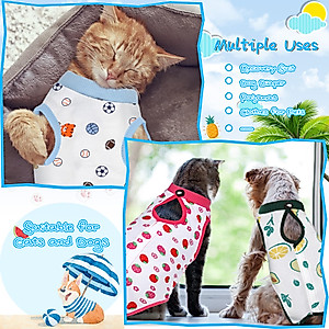 Kacctyen 6 Set Cat Recovery Suit After Surgery Female and Male Cat Surgery Suit Kitten Recovery Suit E Collar Alternative Pajama Cat Clothes for Spay Suit Abdominal Skin Anti Licking(Fruit,Medium)