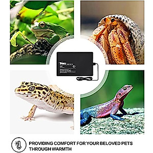 iPower Reptile Heat Pad 4W/8W/16W/24W Under Tank Terrarium Warmer Heating Mat and Digital Thermostat Controller for Turtles Lizards Frogs and Other Small Animals, Multi Sizes