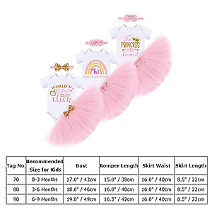 Newborn Coming Home from Hospital Outfit: The Princess Has Arrived Baby Girl Romper Tulle Tutu Skirt Headband 1st Birthday Cake Smash Photoshoot New Born Infant Girls Clothes Full Set Pink 0-3 Months