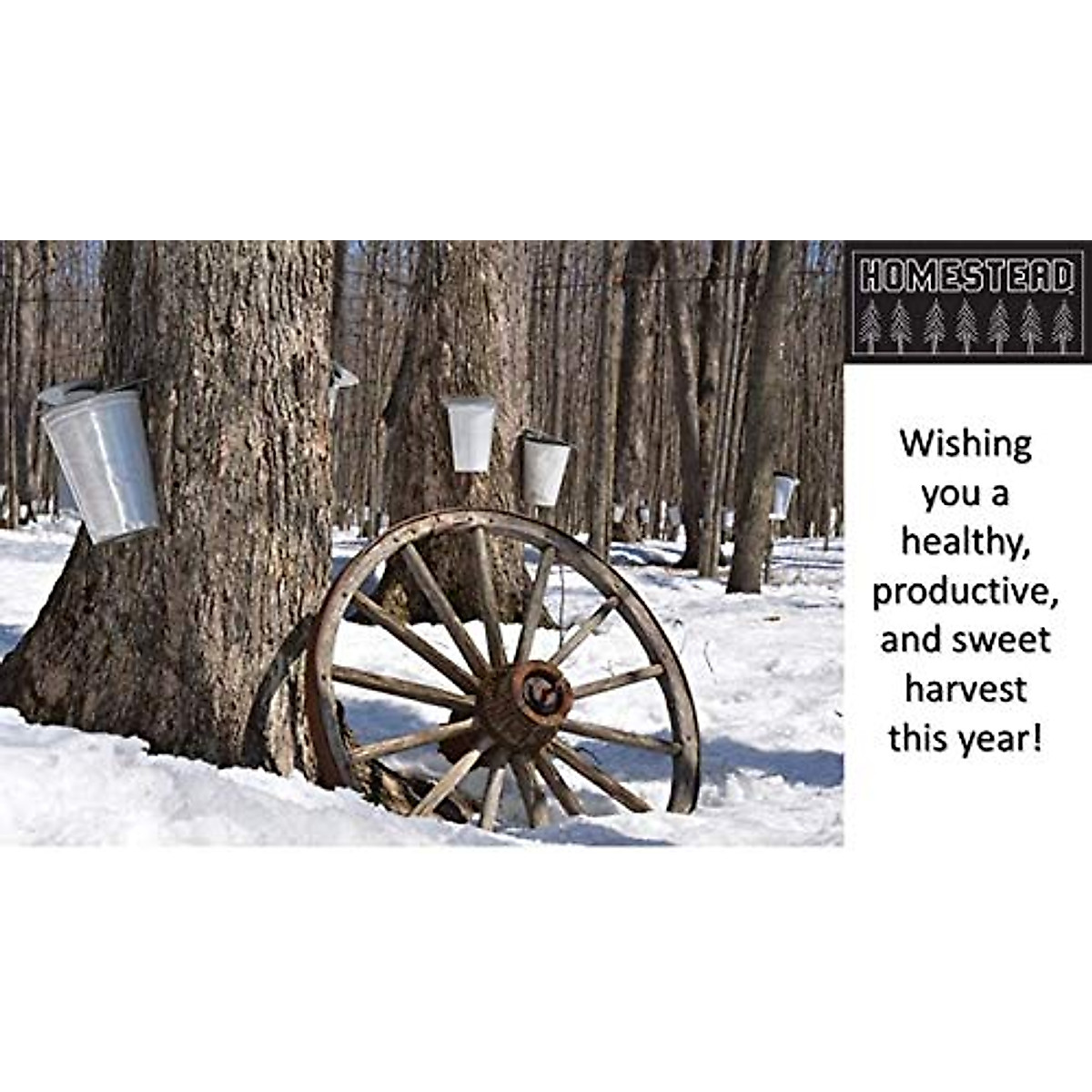 Maple Syrup Hydrometer - Measure Sugar and Moisture Content (Density) of Boiled Sap - Baume and Brix Scale - Calibrated to Create Pure Maple Syrup