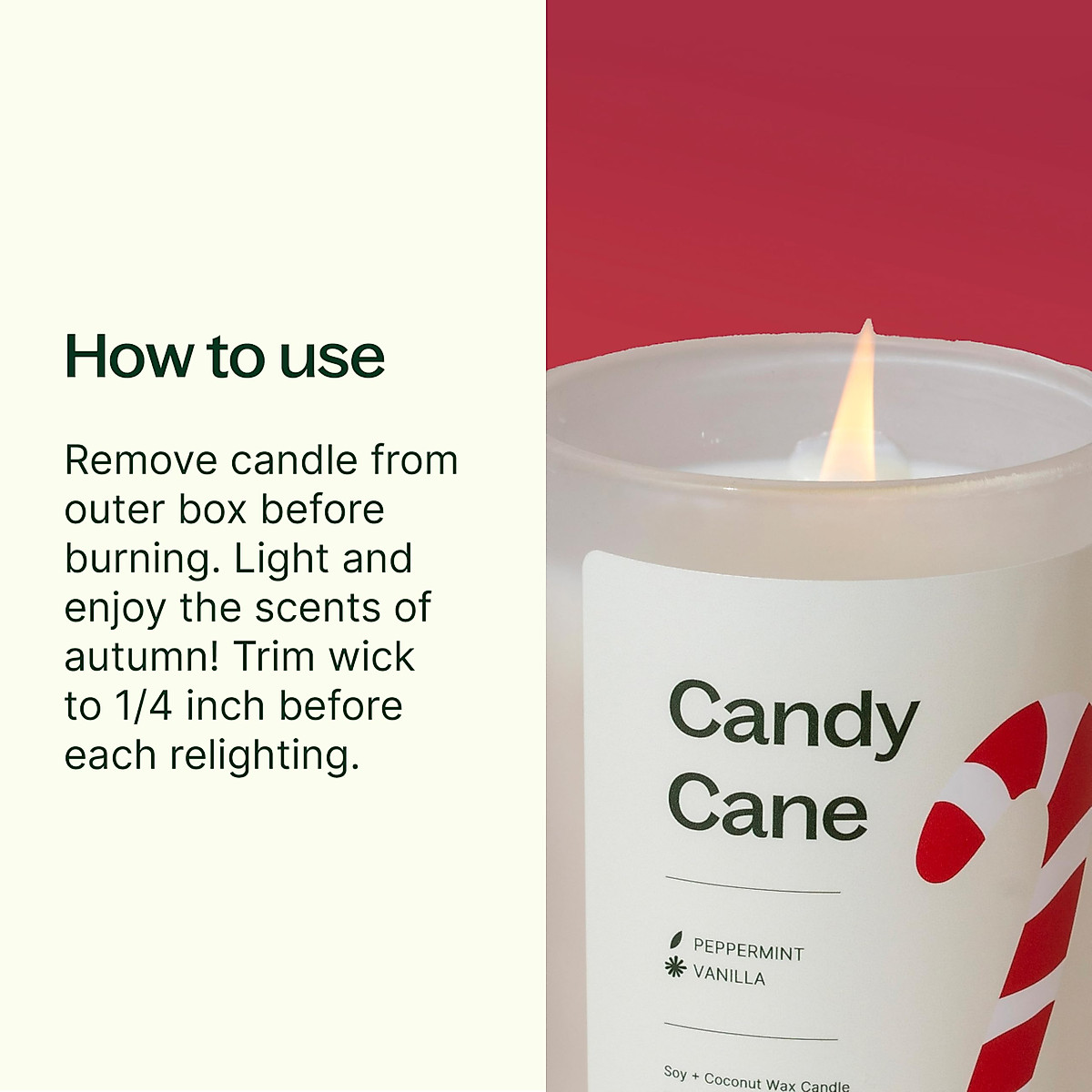 Plant Therapy Candy Cane Naturally Scented Candle 9 oz Hand-Poured Coconut & Soy Wax Blend, Crisp & Cool Natural Scent, Chic Frosted White Jar with Wooden Lid