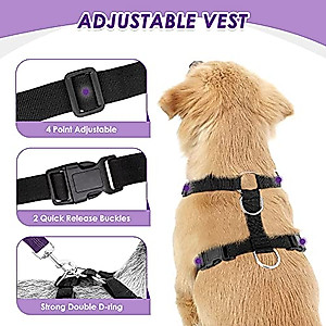 Lukovee Dog Safety Vest Harness with Seatbelt, Dog Car Harness Seat Belt Adjustable Pet Harnesses Double Breathable Mesh Fabric with Car Vehicle Connector Strap for Dog (Medium, Purple)