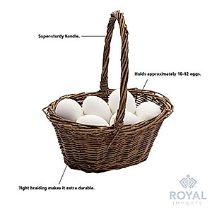 Royal Imports Willow Woven Braided Gift Basket for Easter, Baby Shower, Wedding Flower Girl - Small Oval w/Static Handle & Plastic Insert
