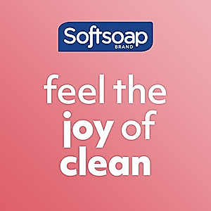 Softsoap Body Wash Exfoliating Scrub, Coconut Butter Scent, 20 oz Bottle