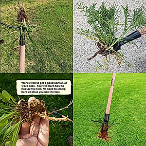 Stand Up Weeder Manual Weed Remover Weed Puller Tool with Foot Plate for Removing Weeds -Black Aluminum Lever Head Weed Puller Garden Weeder Root Remover Tool