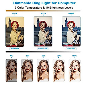 Video Conference Lighting, 4.0" Ring Light for Computer Laptop Monitor, Small Clip on Laptop Ring Lights for Video Calls, Remote Working, Zoom Meetings, Live Streaming, Online Teaching, Interview