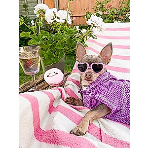 Fitwarm 2 Piece Dog Cooling Shirt and Skirt, Quick Dry Dog Summer Clothes for Small Dogs Girl, Breathable Pet Sun Protection Clothing, Stretchy Cat Outfit, Neon Purple, Small