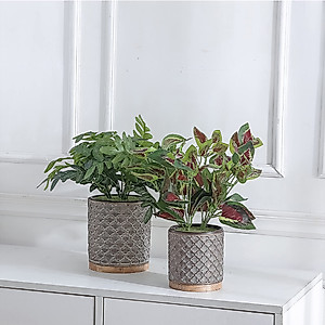 Yishang Cement Planter Flower Pot - 4.7 Inch and 6 Inch Indoor Plants Containers Without Drain Hole,Round Flower Planter Pots for Plants with Bamboo Saucer/Tray,Set of 2 (Brown).