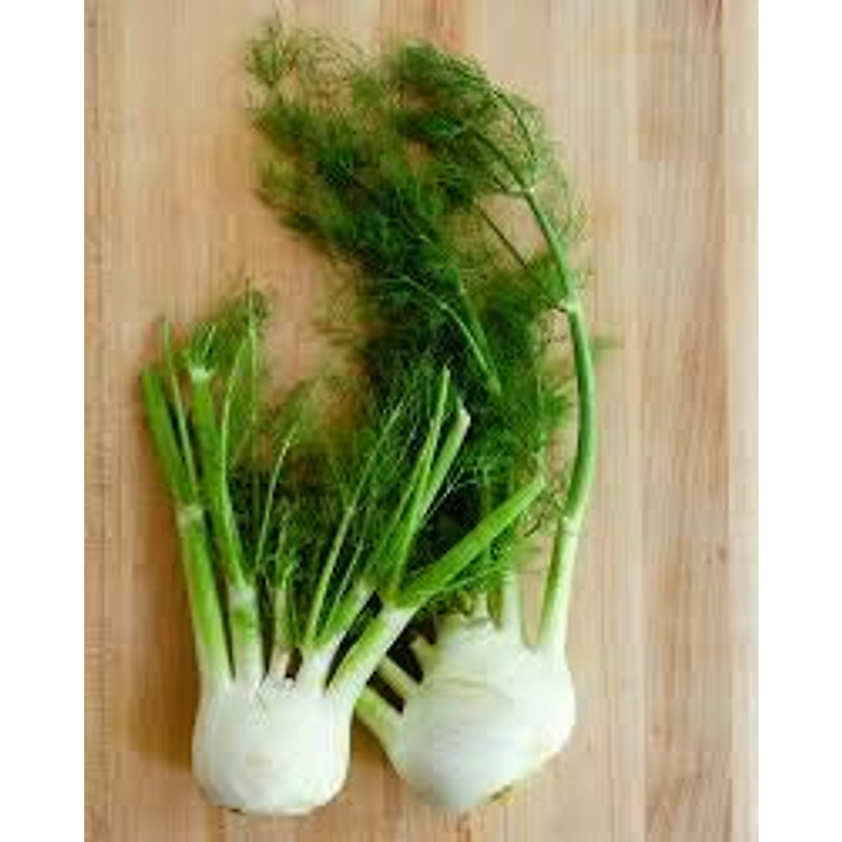 Gaea's Blessing Seeds - Fennel Seeds (2.0g) - Non-GMO Seeds with Easy to Follow Planting Instructions - Herb Seeds 85% Germination Rate