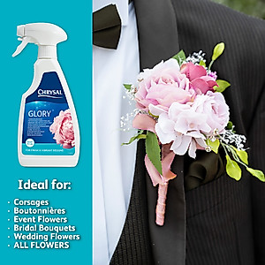 Chrysal Professional Glory Flower and Foliage Finish — Floral Supplies for Fresh Flowers — Spray for Fresh Cut Flower Arrangements — Cut Flower Preservative Spray — Ideal Florist Supplies