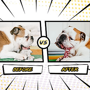 Dog Toys- eco Rubber Toys-Waste Poop Bags-Toy Bag- Medium and Large Breeds-Interactive Dog Toys for Large Dog