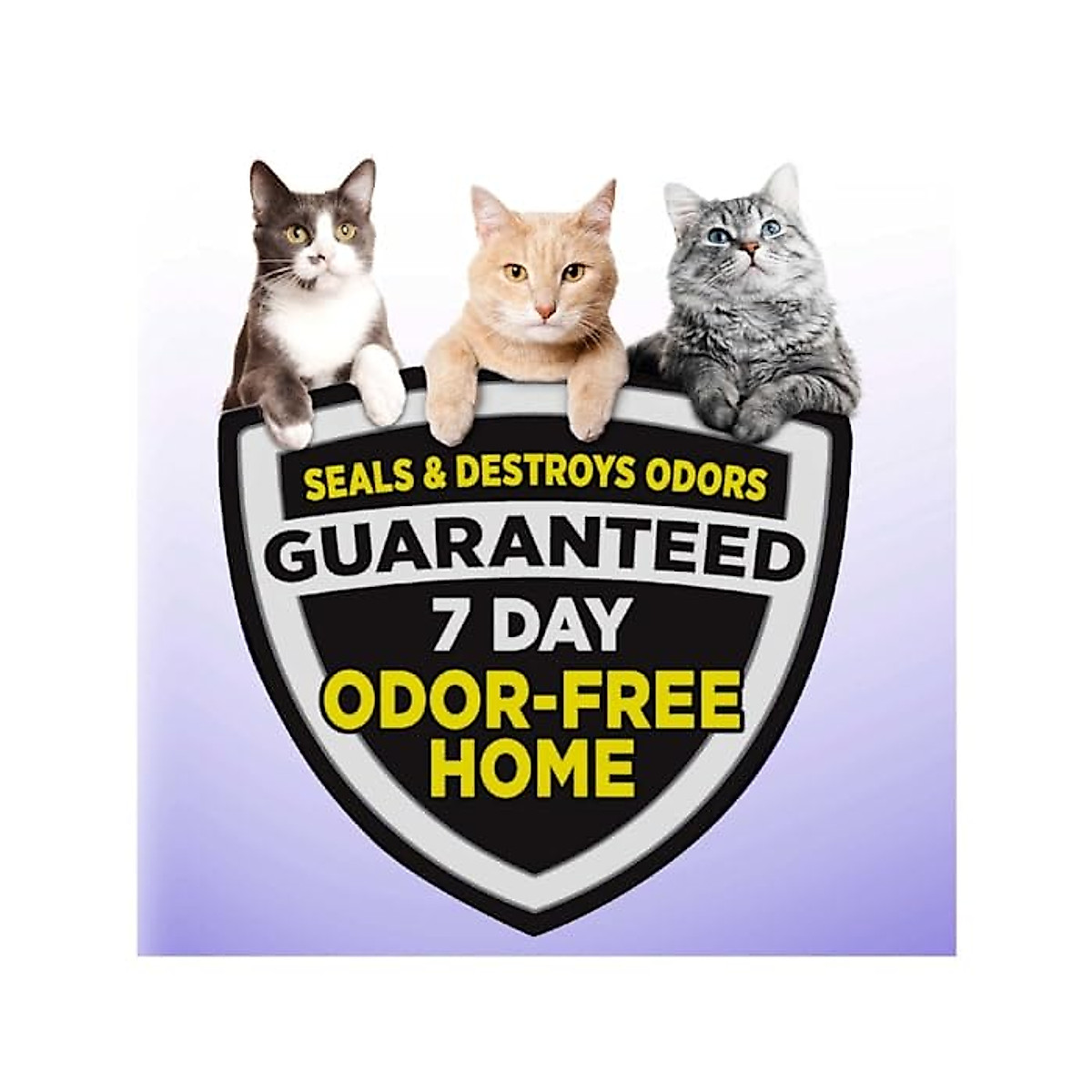 Arm & Hammer Slide Cat Litter - Clumping Multi-Cat, 38 lbs.