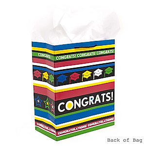 Hallmark Gift Bag, Large, Congrats with Stripes