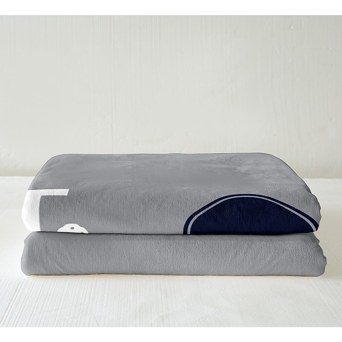 Pickleball Sherpa Throw Blanket Twin 60"x80" Kids Pickleball Gifts Fleece Throw Blanket for Gifts for Pickleball Lovers Fuzzy Plush Blanket Pickleball Accessories Flannal Blanket Blue Gray Decor