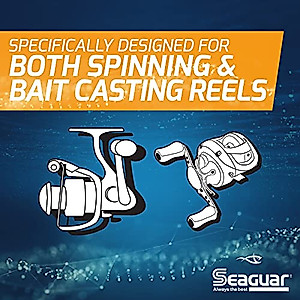 Seaguar Smackdown High Visibility Fishing Line 10lbs, 150yds Break Strength/Length, Stealth Gray - 10SDSG150