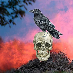 Halloween Yard Sign Crow On Skeleton Head Scary Stakes Yard Decorations Halloween Party Decorations Garden Stakes Decor Yard Signs Yard Art for Patio, Garden, Porch Halloween Party Decor 1 Pack