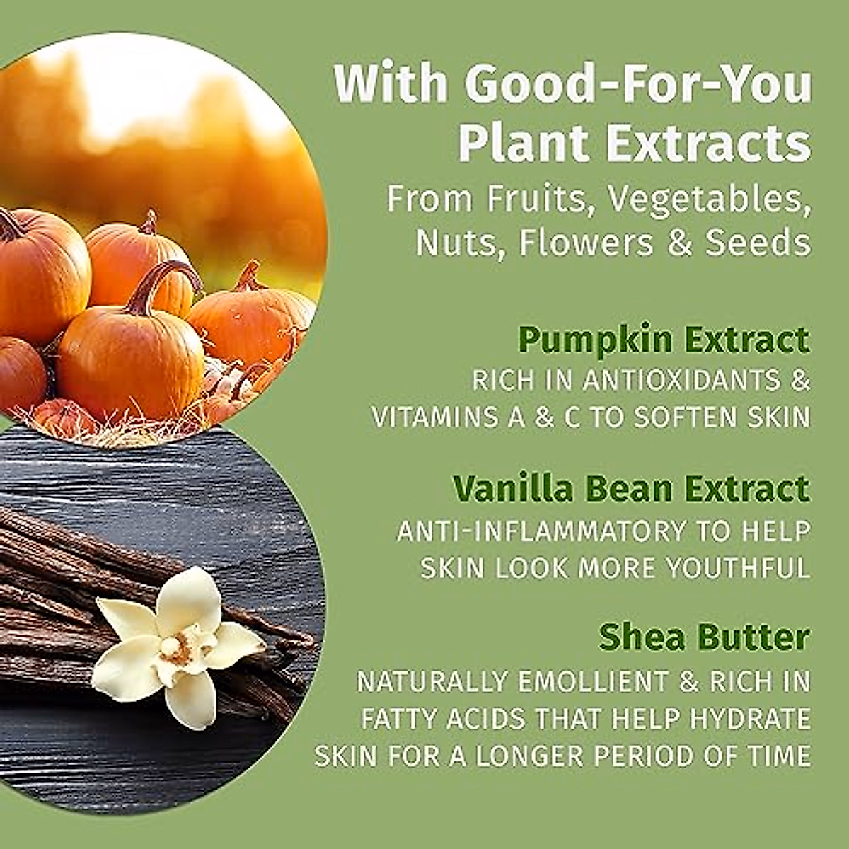 Limited Edition Pumpkin Spice & Vanilla Chai Herbal Moisturizing Body Lotion (17 oz) – Fall Scented for Women or Men with Dry or Sensitive Skin - Hydrating Moisturizer for Daily Radiance