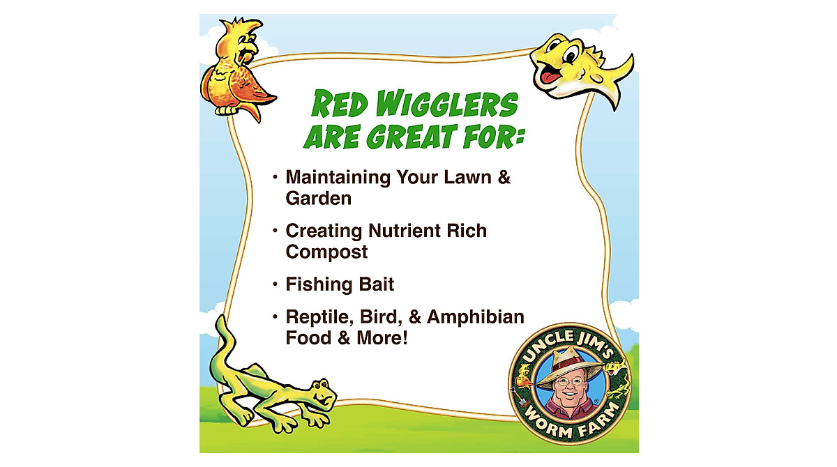 Uncle Jim's Worm Farm Red Wiggler Compost Worms - 2000 Count for ...