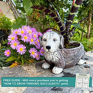 Dog Planter, Dog Shaped Outdoor/Indoor Planter For Succulents. 8.2 inch Planter Pot with Drainage Hole, Ideal for Dog Lovers and Housewarming Gift