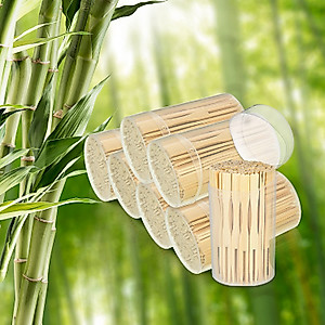 Total Bamboo Forks 3.5 Inches Appetizer Forks Double Prong Appetizer Cocktail Forks Mini Food Blunt End Forks for Banquet Catering Party 4 Packs 440 Pieces