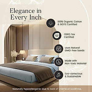 100% Organic Cotton Queen Sheet Set & Standard Pillowcases Set of 2 Combo 300 Thread Count Long Staple Cotton Sheets 3 Pc Queen Size Sheets & Standard Pillowcases Sateen Sheets Breathable Light Blue