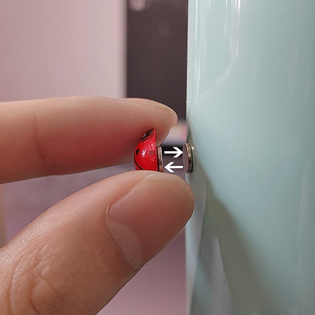 Rainteam 8pcs Plants Magnets Tiny Ladybug Pins Charms Funny Potted Plant Safe Magnets Cute House Plant Accessories,Christmas Decoration Gift for Plants Lovers (Ladybug)