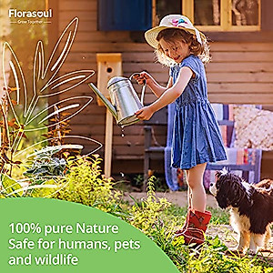 Florasoul All Purpose Liquid Plant Food Vegan Organic Garden Fertilizer Flowers, Vegetables, Herbs, Shrubs, Trees NPK3-4-18 Water Soluble Organic Nutrients 500g/200 Gal