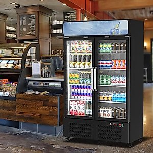 Commercial beverage display cabinet, upright display refrigerator, glass door, LED light and adjustable shelf, can place beverages and wine, suitable for commercial, office and other occasions