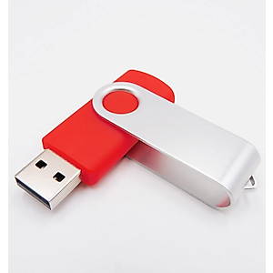Swivel USB Flash Drives Memory Sticks Thumb Drive Pen jumpdrive U Disk for Pupil & Students (2GB Red with Type-C/OTG Converter)